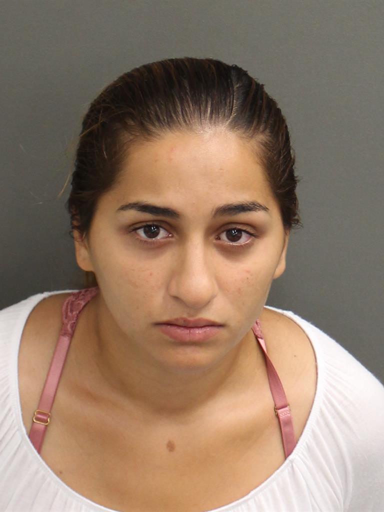 ALINA ANCA CIURAR Mugshot