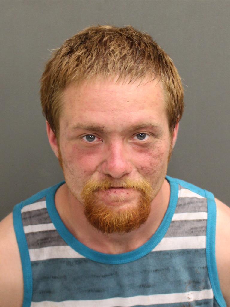 AARON D MICKELSON Mugshot