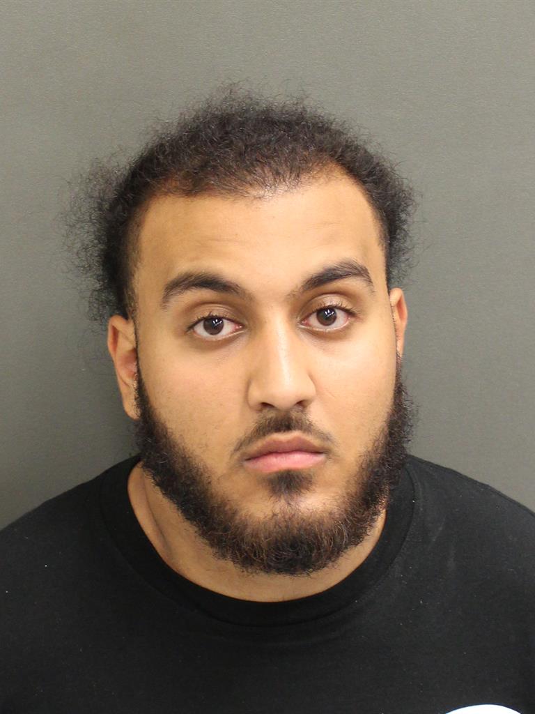 GEORGE MINA GIRGIS Mugshot