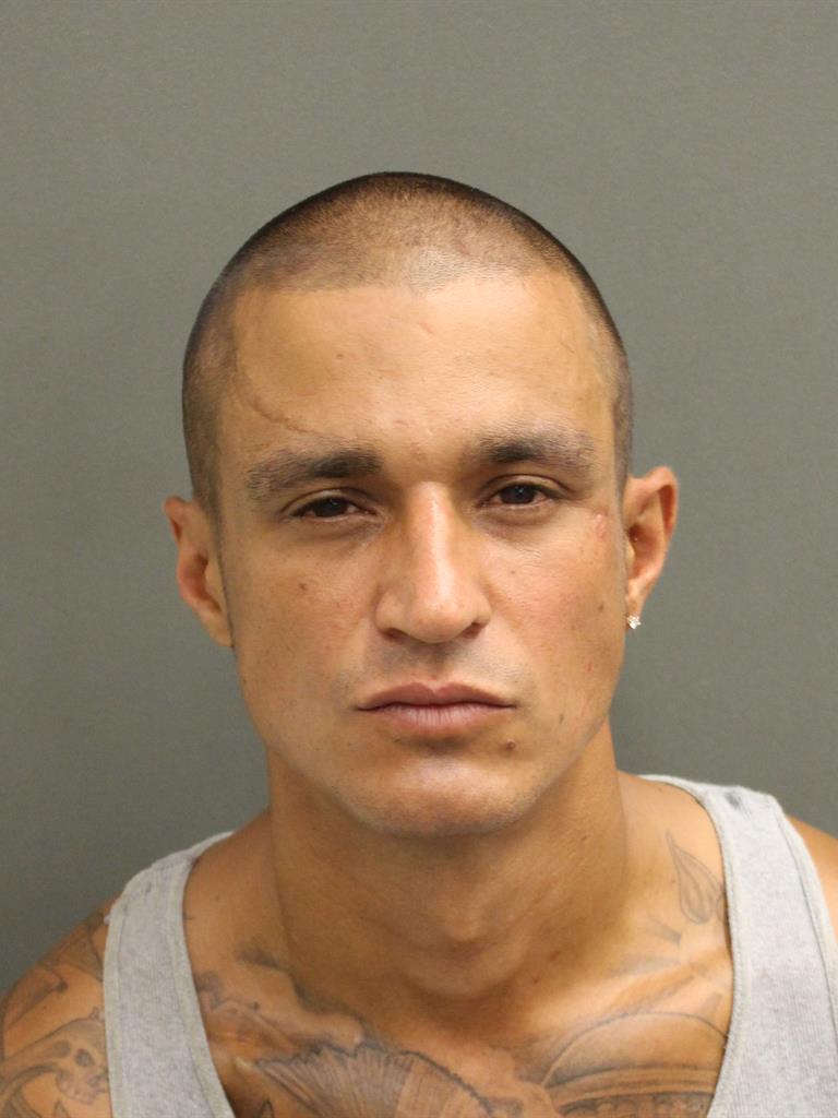 MARK S MECHIKOFF Mugshot