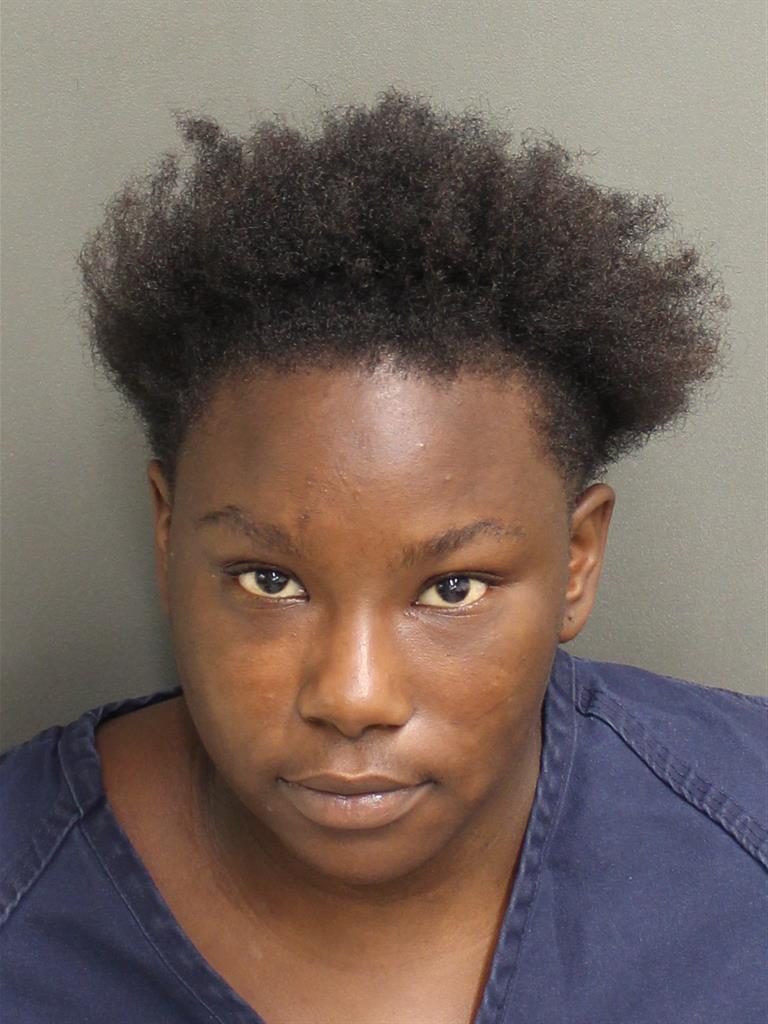 IDA MAE WILLIAMS Mugshot