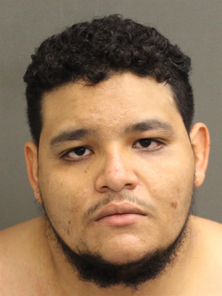 LUIS EMILIO JR REYES Mugshot