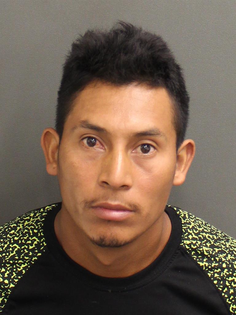 ELVIN ALEXANDER RAMOS MEJIA Mugshot