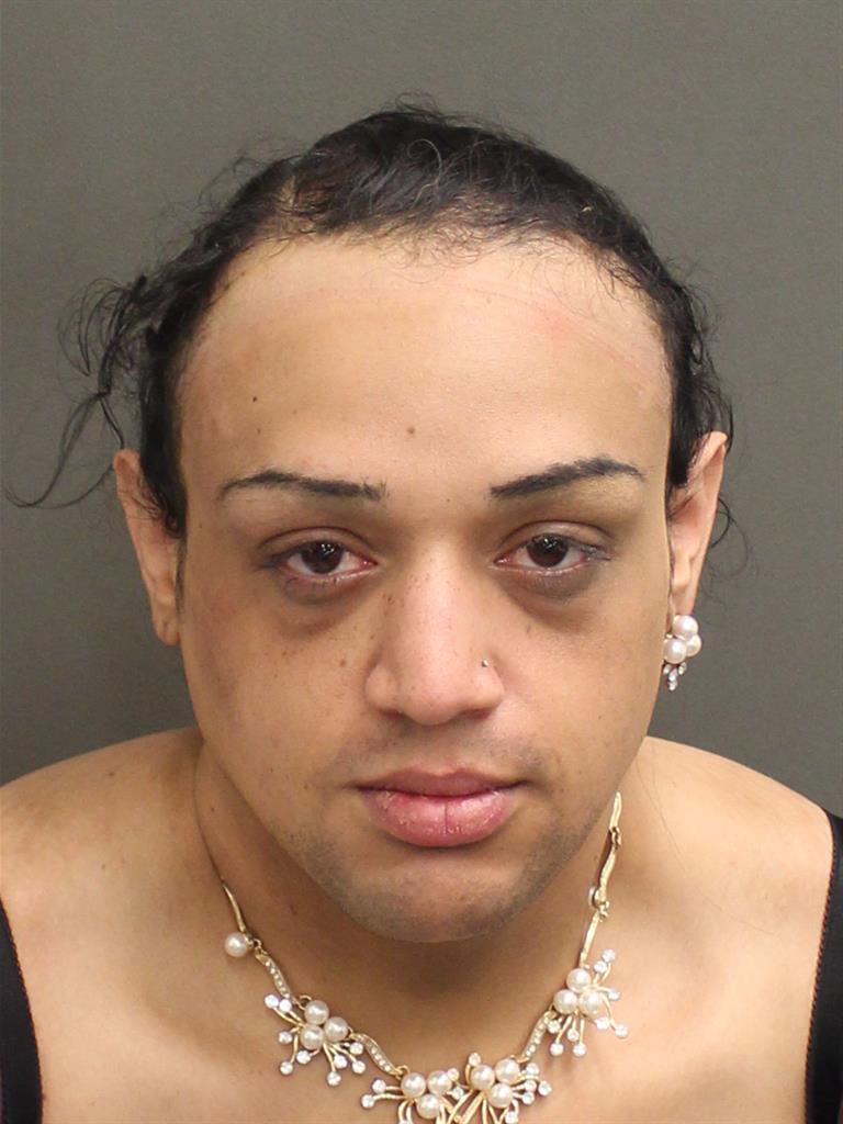 JONATHAN JOHNNY IRIZARRY Mugshot