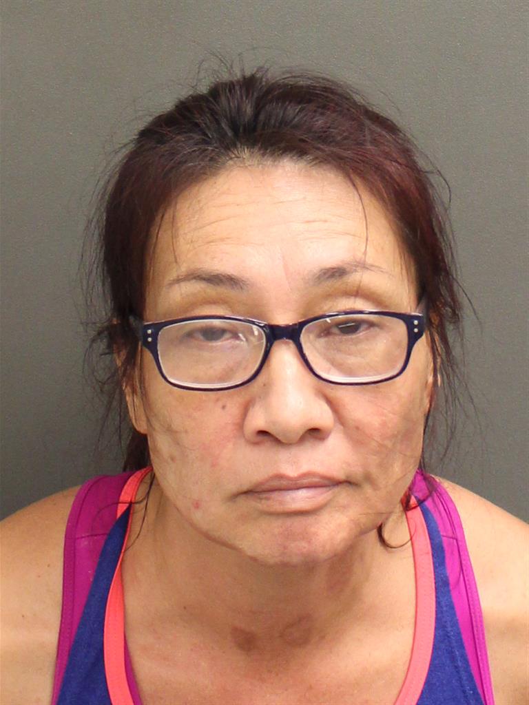 CAROL ANN LIGHT Mugshot