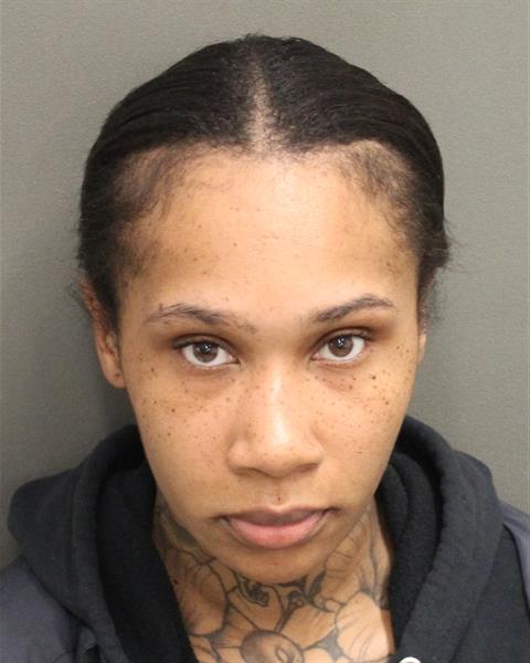 SARAH ELIZABETH JAMES Mugshot