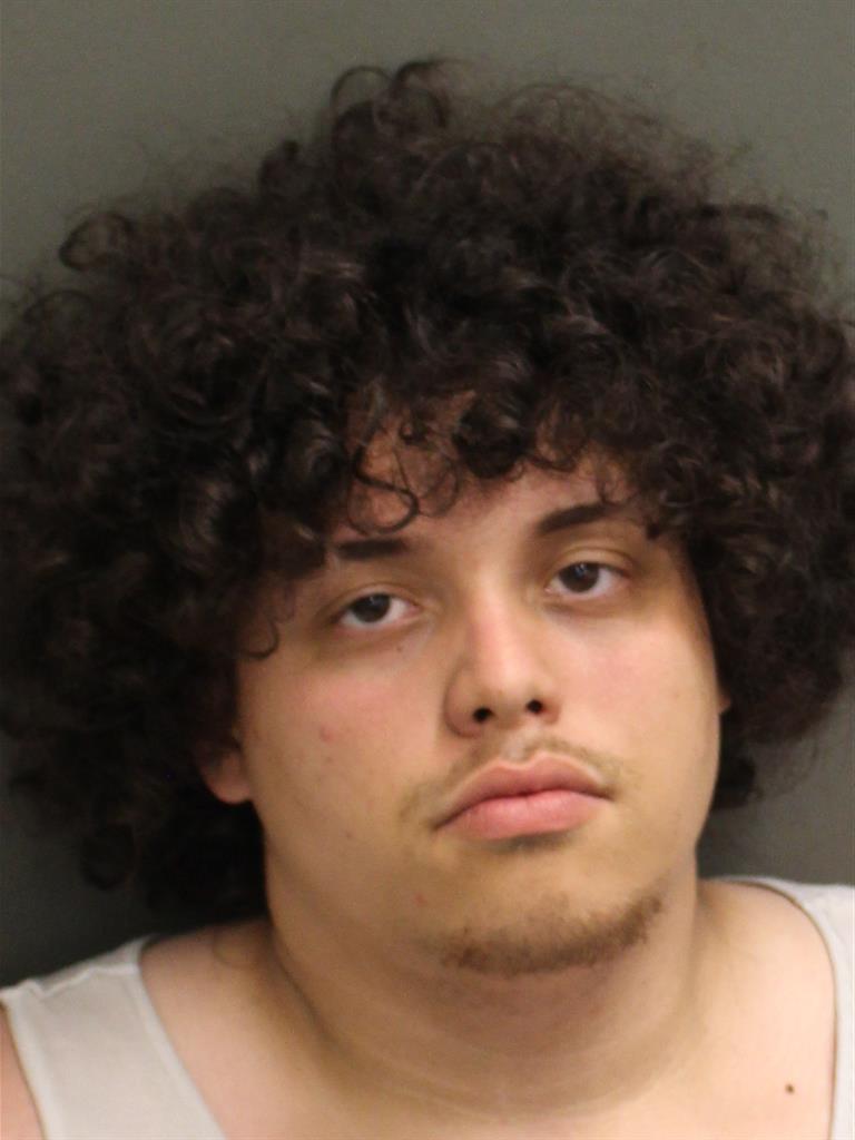 REYNALDO ELIJAH ROBLES Mugshot