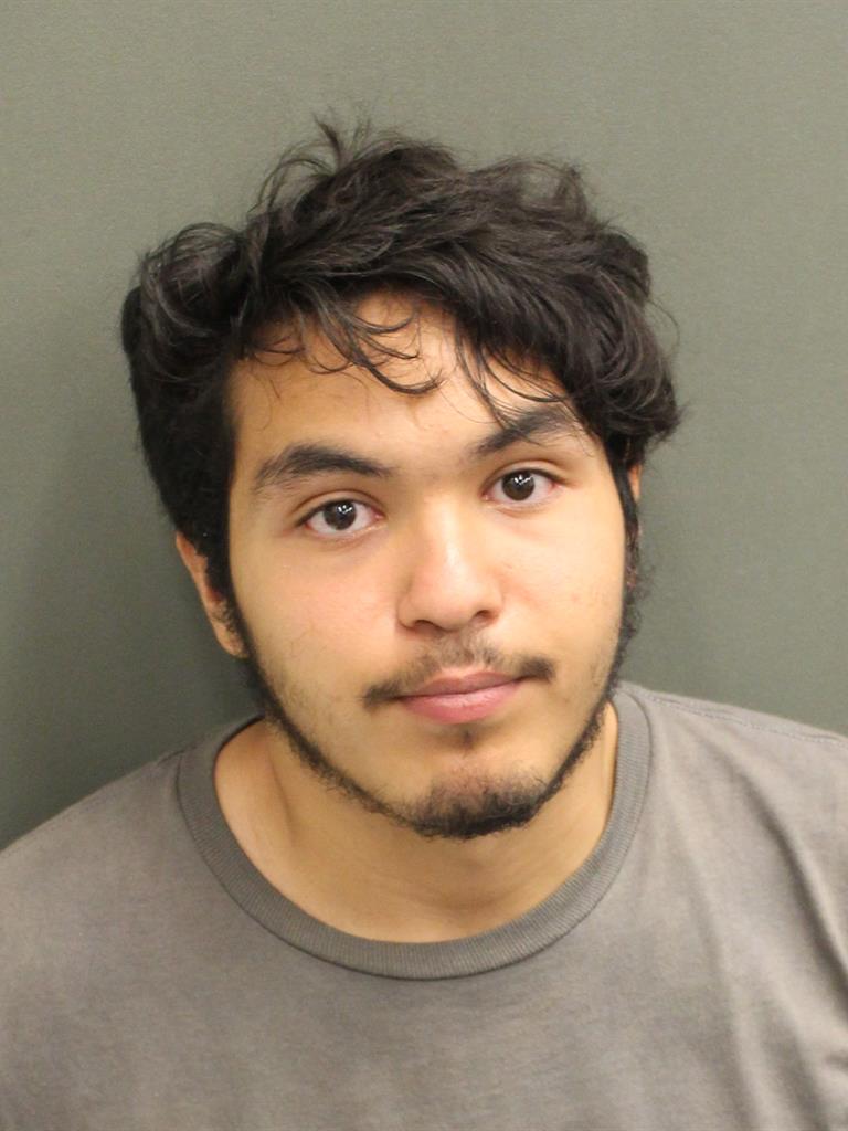 LUKE JUNIOR LARSON Mugshot