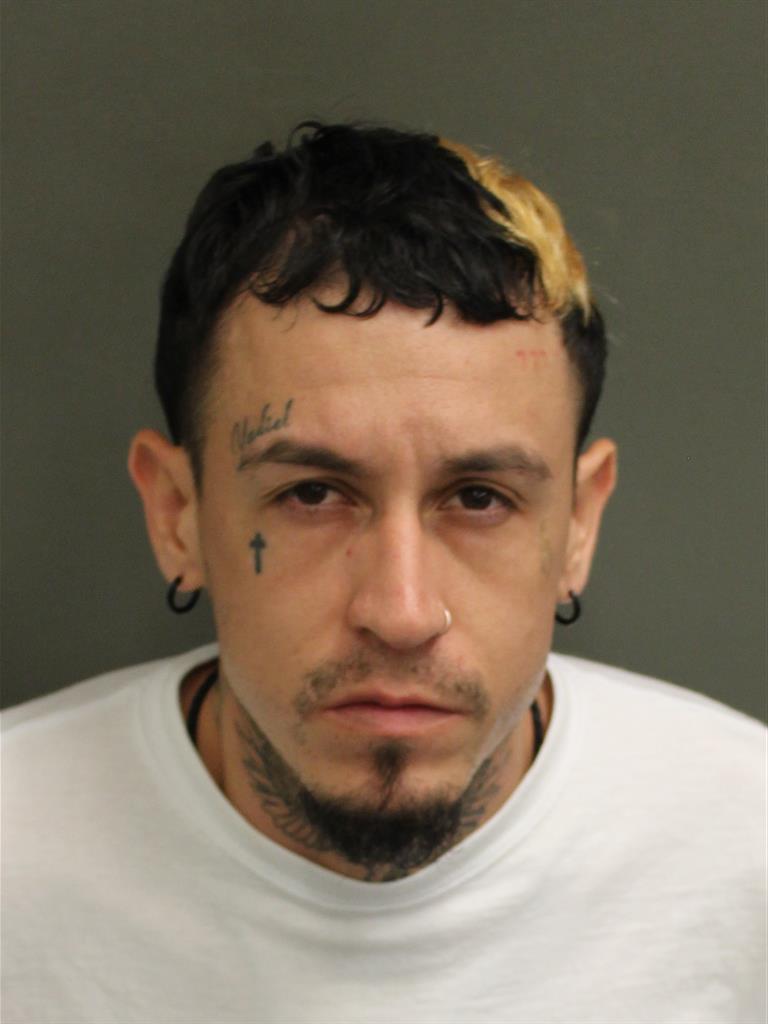 FELIX JOHAN APONTEPEREZ Photo Image