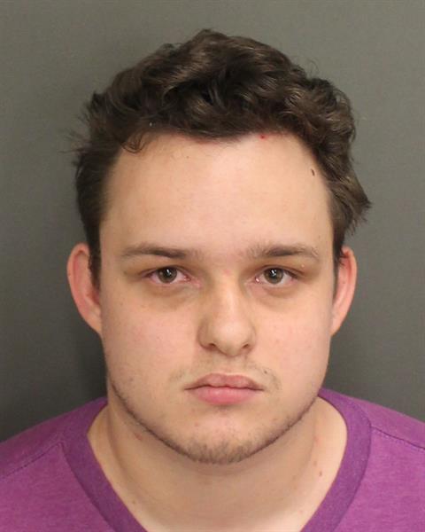 RYAN WILLIAM HAMIL Mugshot
