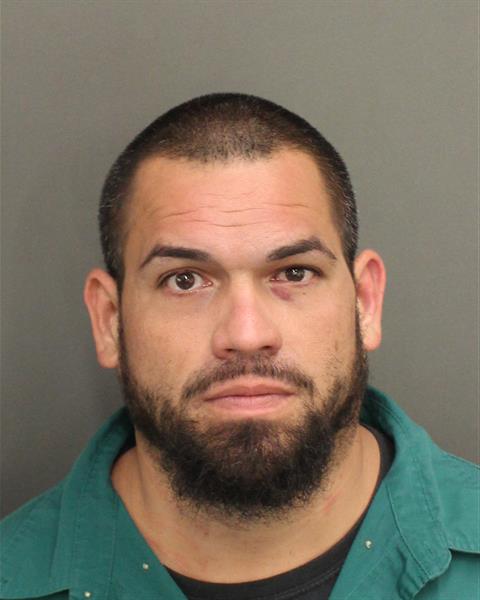 JOSE ALAMO Photo Image