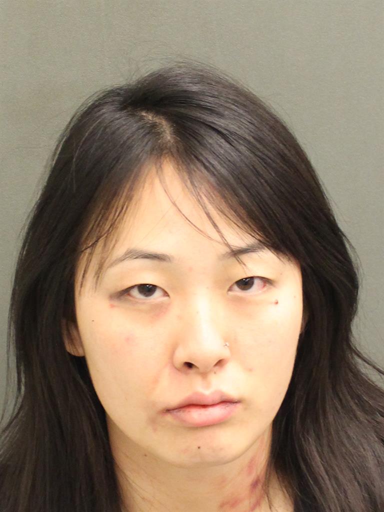 ASHLEY NICOLE ROMER Mugshot