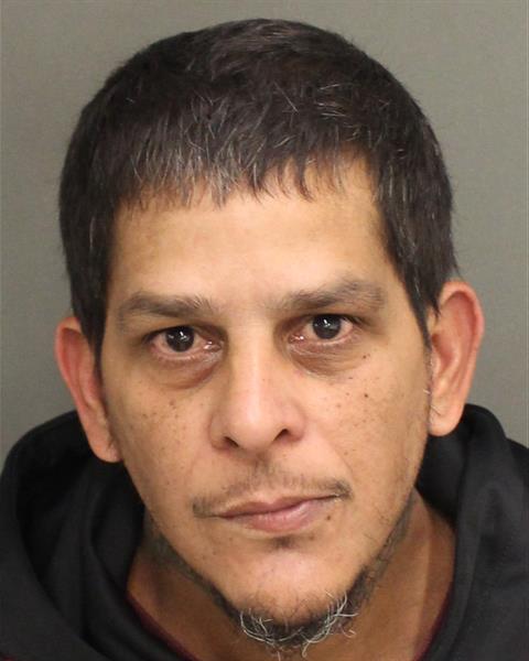 BRUCE IRENE VAZQUEZ Mugshot