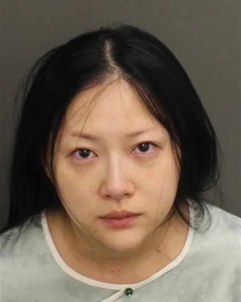 HANI CHEN Mugshot