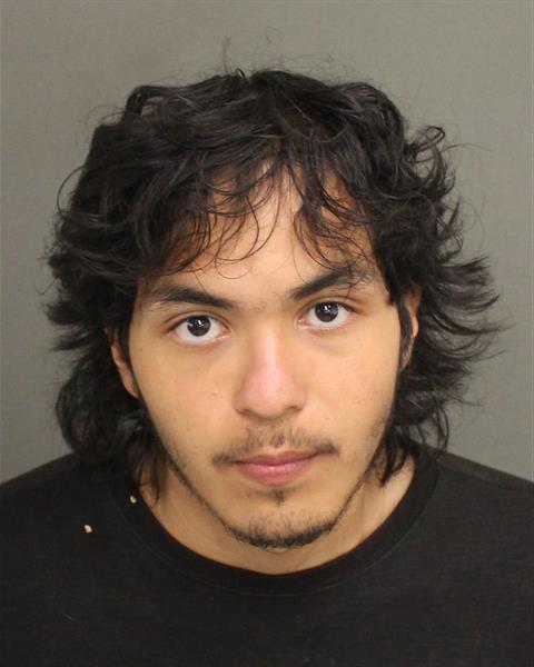 LUKE JUNIOR LARSON Photo Image