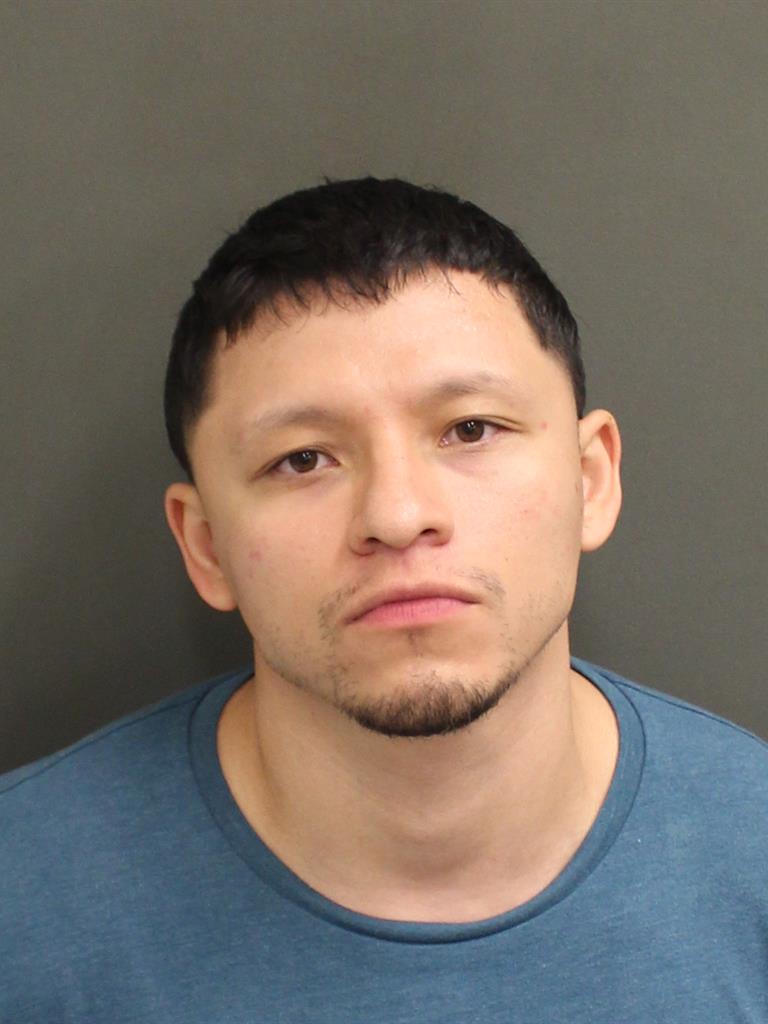 MICHAEL ARNOLD FLORES Mugshot