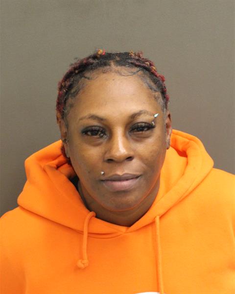 MARY JANELLE JAMES Mugshot