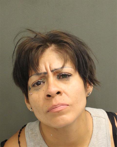 PRISCILLA ANN FERNANDEZ Mugshot