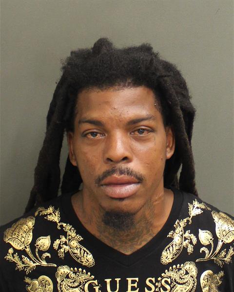 DARELL JEROME JR HOLLY Mugshot